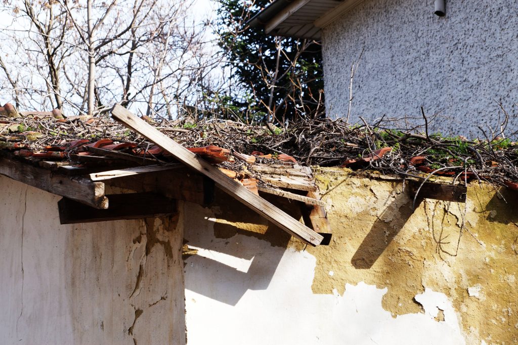Most Damaging Debris for Roofs